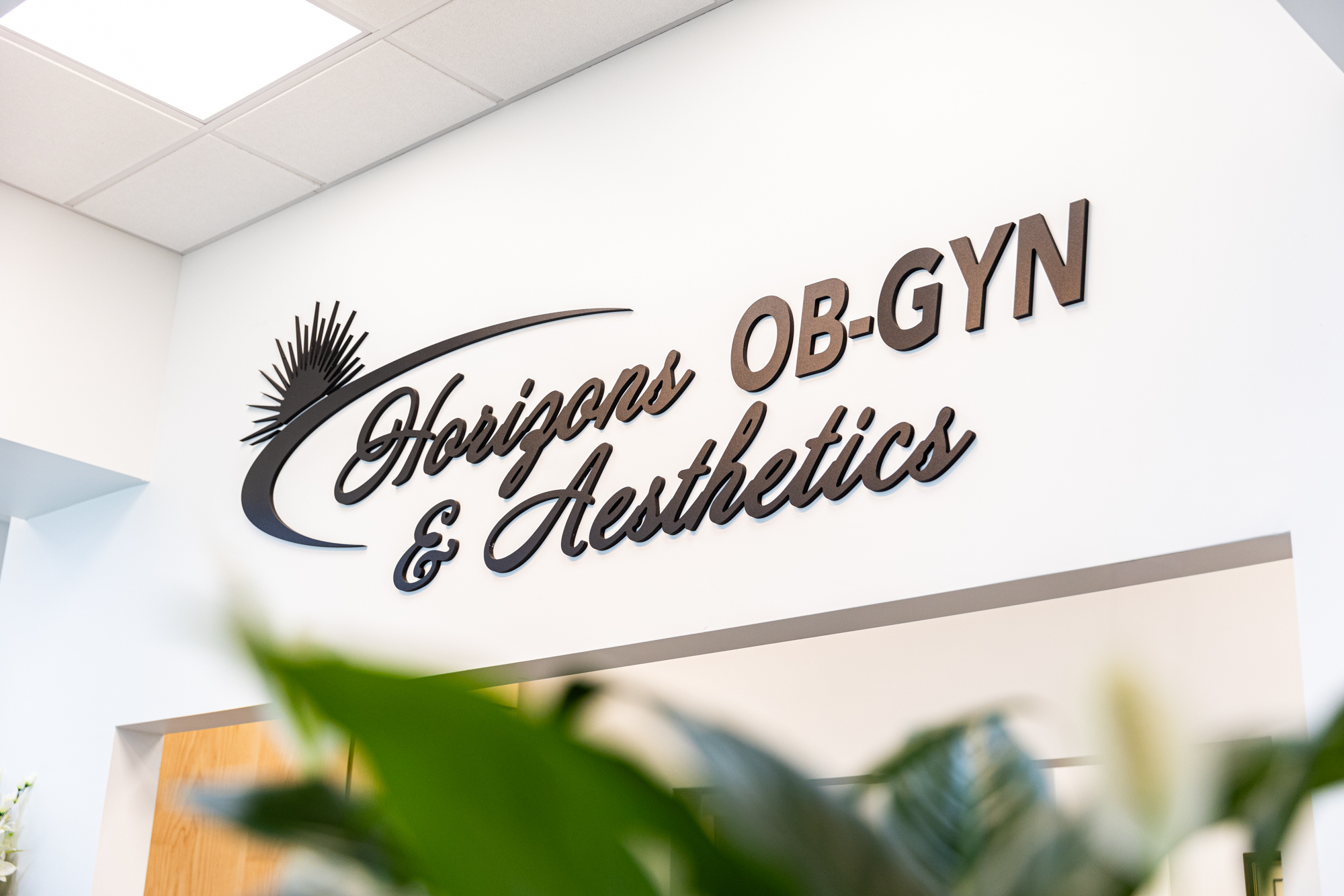 Home | Horizons OBGYN & Aesthetics